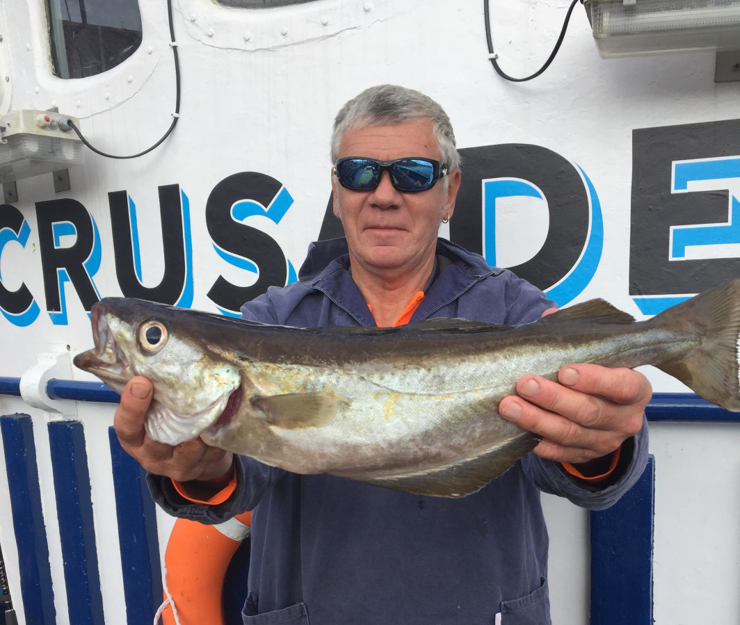 Sea fishing images at Crusader Fishing Trips, Scarborough, North Yorkshire